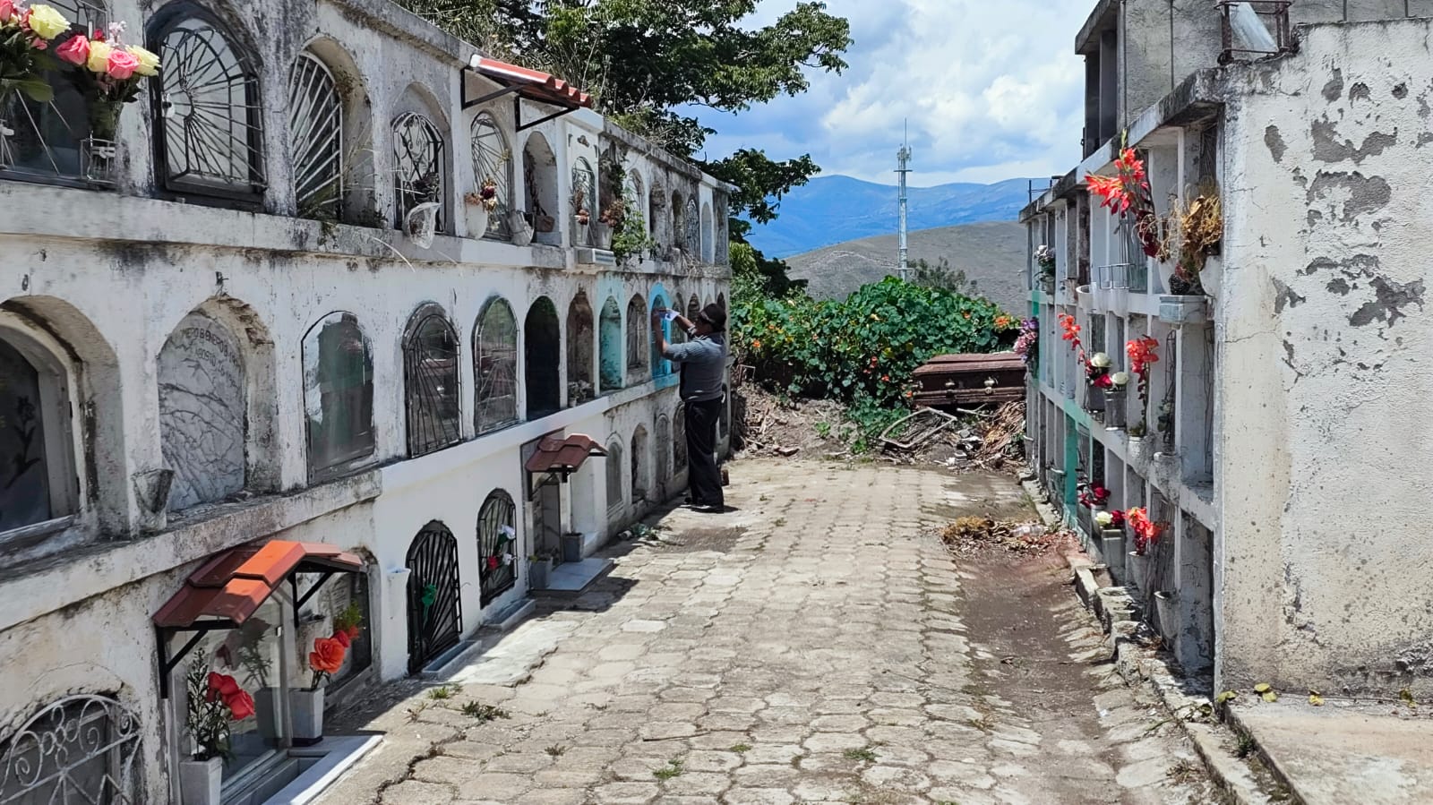 Finados: morado es el efecto del paso del tiempo, que es tradición - La ...