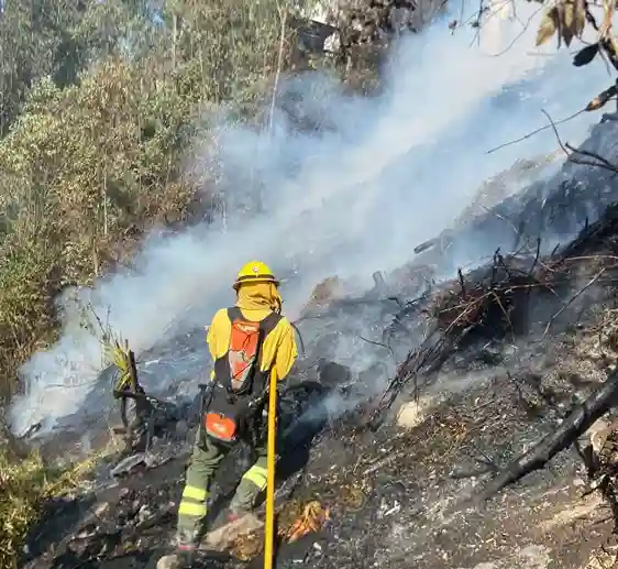 Fuertes vientos reactivan incendio forestal en Guápulo, Quito - La ...