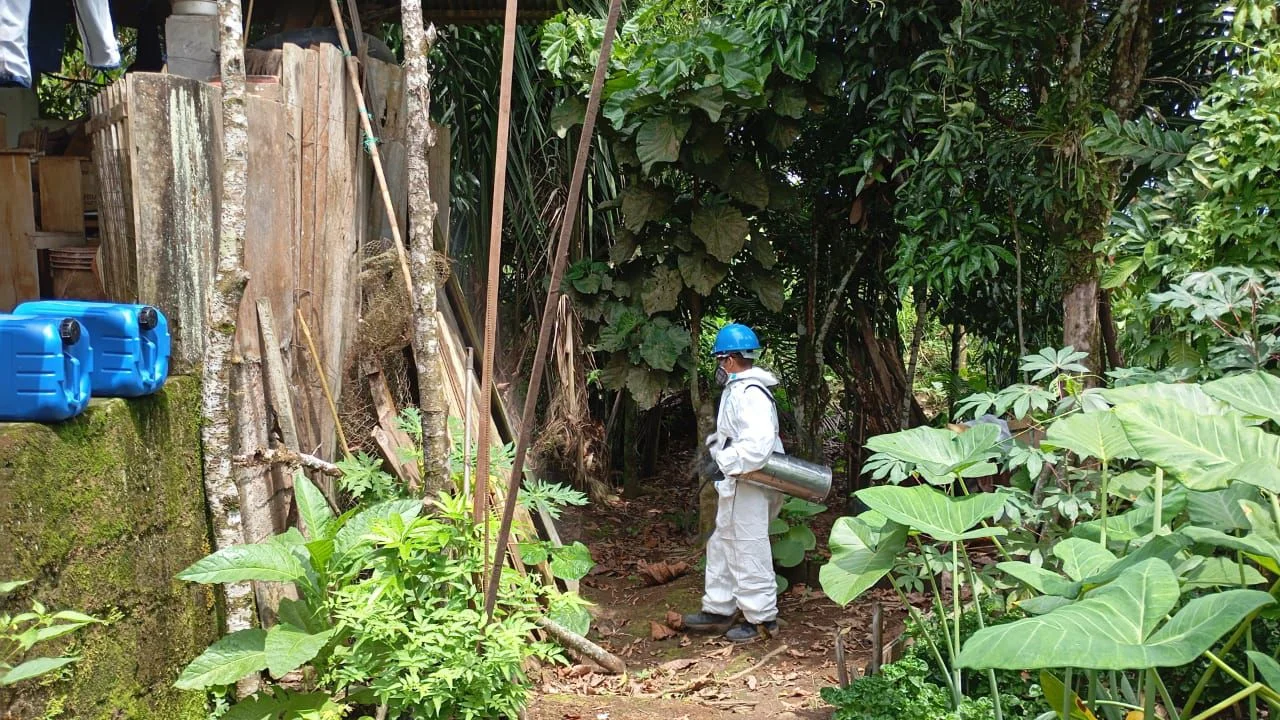 Morona Santiago: ¿Cómo prevenir el contagio del dengue?